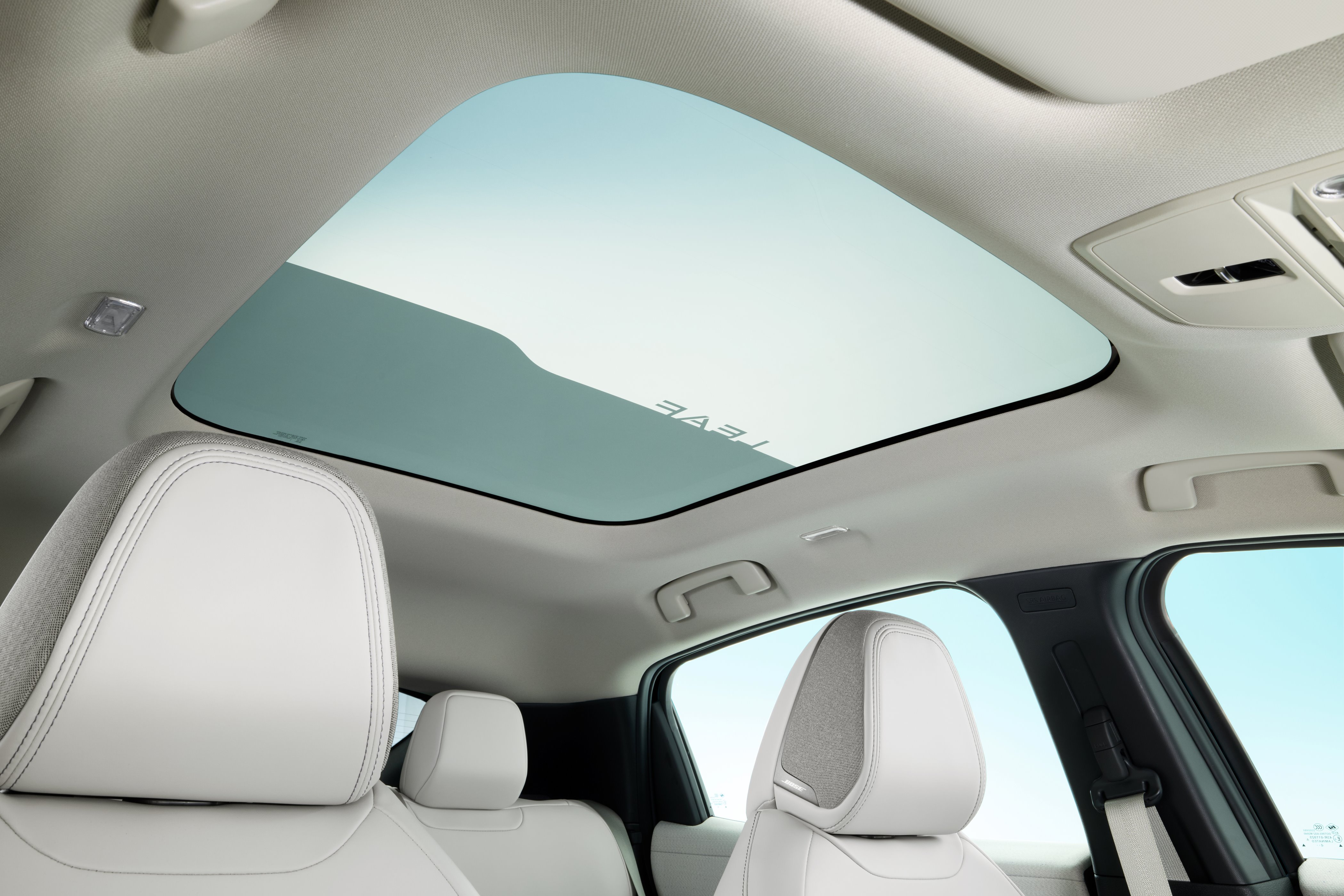 Nissan Leaf Moon Disks